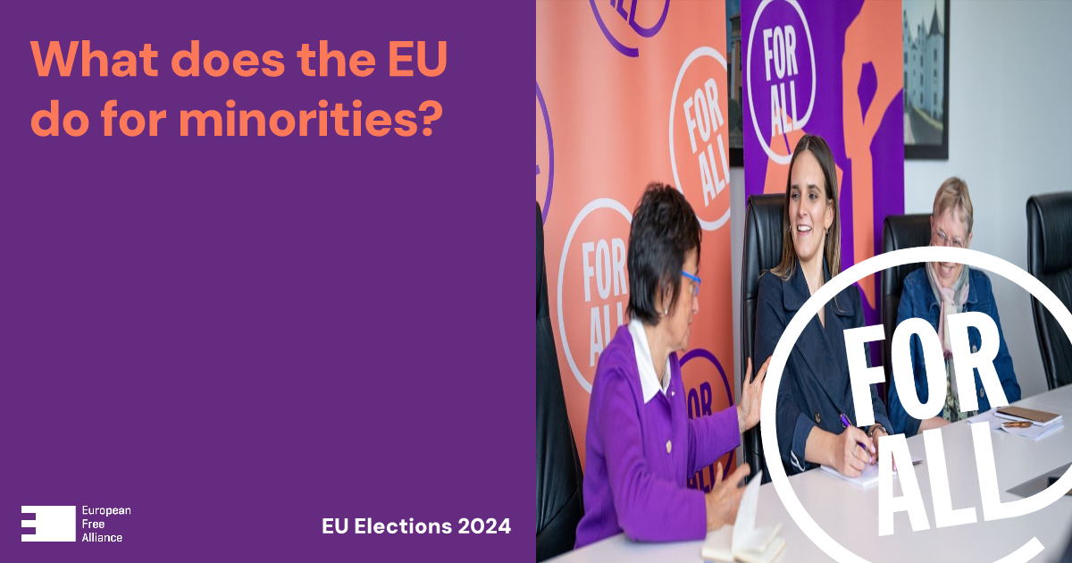 What does the EU do for minorities? - News - For All: EU Elections 2024 ...